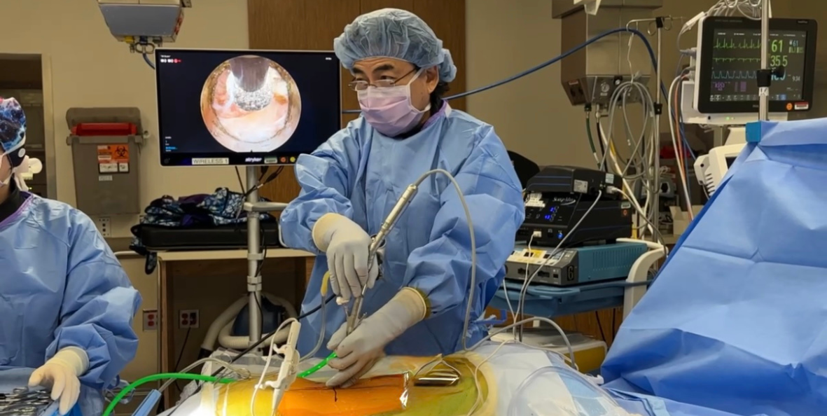 What Happens to the Disc After a Discectomy? | Excel Spine